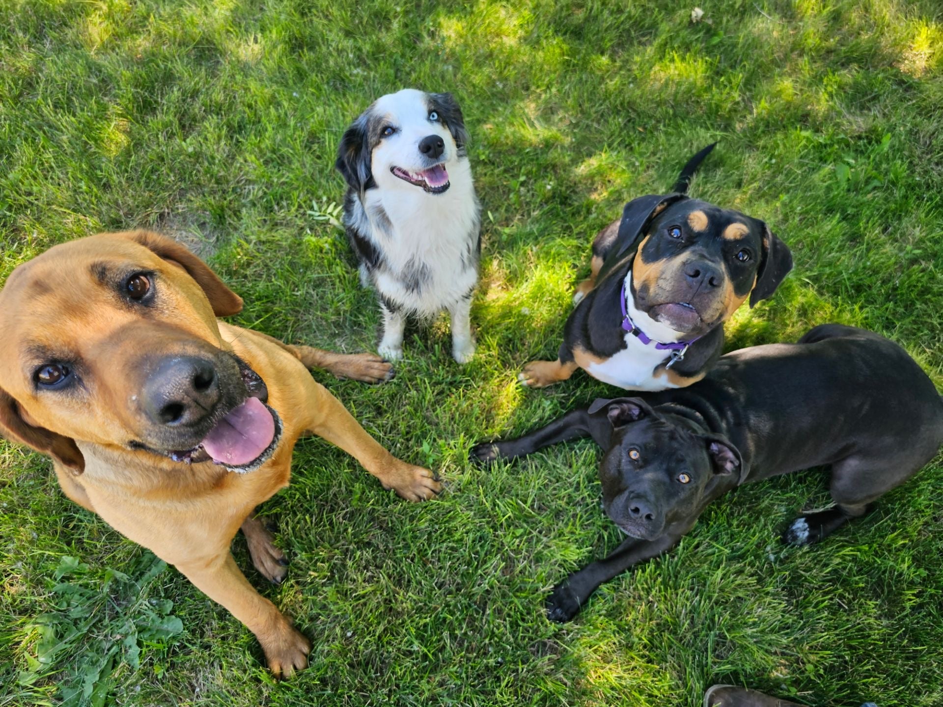 Products – 7C's Farm